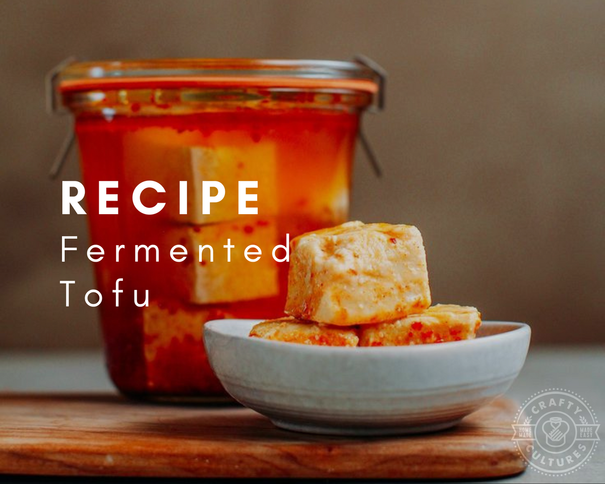 Fermented Tofu – Crafty Cultures