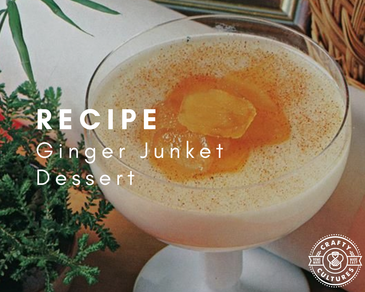 Ginger Junket Dessert – Crafty Cultures