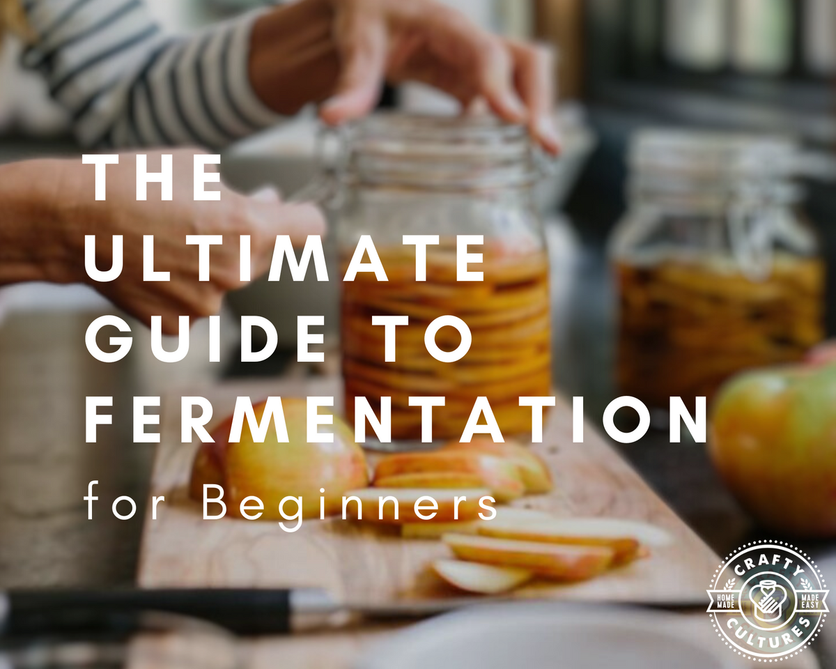 The Ultimate Guide to Fermentation for Beginners – Crafty Cultures
