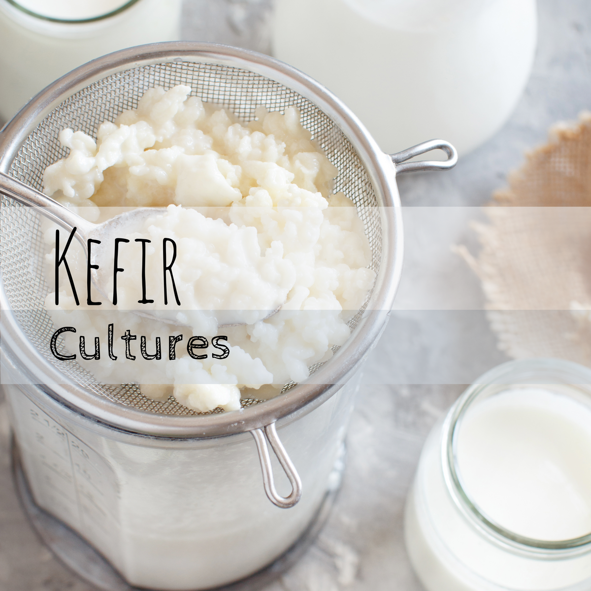 Kefir Cultures – Crafty Cultures