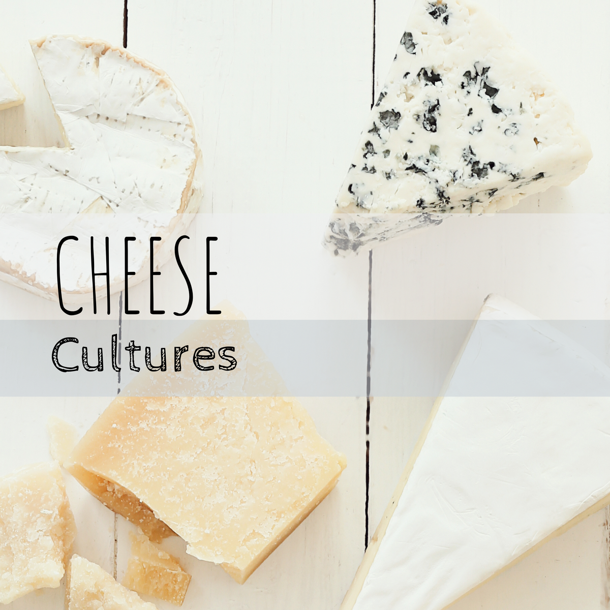 Cheese Cultures – Tagged "How to make Feta at home" – Crafty Cultures