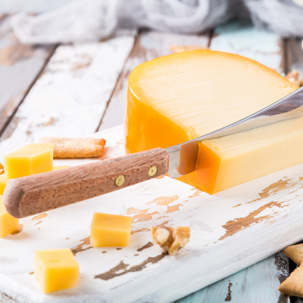 Gouda Cheese Starter Culture – Crafty Cultures