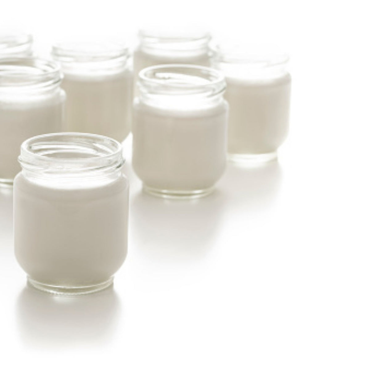 Natural Yoghurt Kit – Crafty Cultures